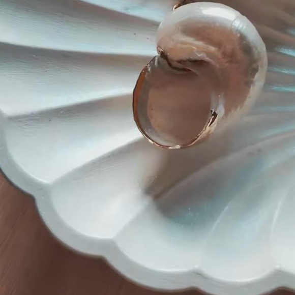 Jewelry | Pearlescent Turbo Turban Spiral Conch Sea Snail Seashell ...